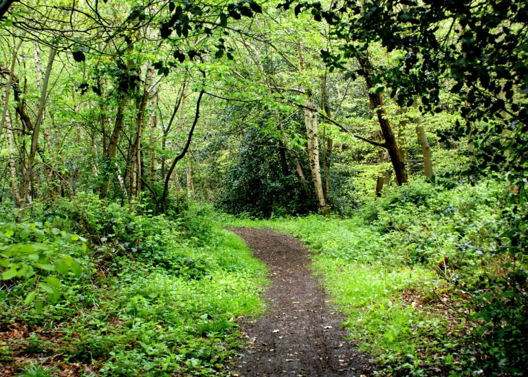 Denham Woods - Colne Valley Regional Park
