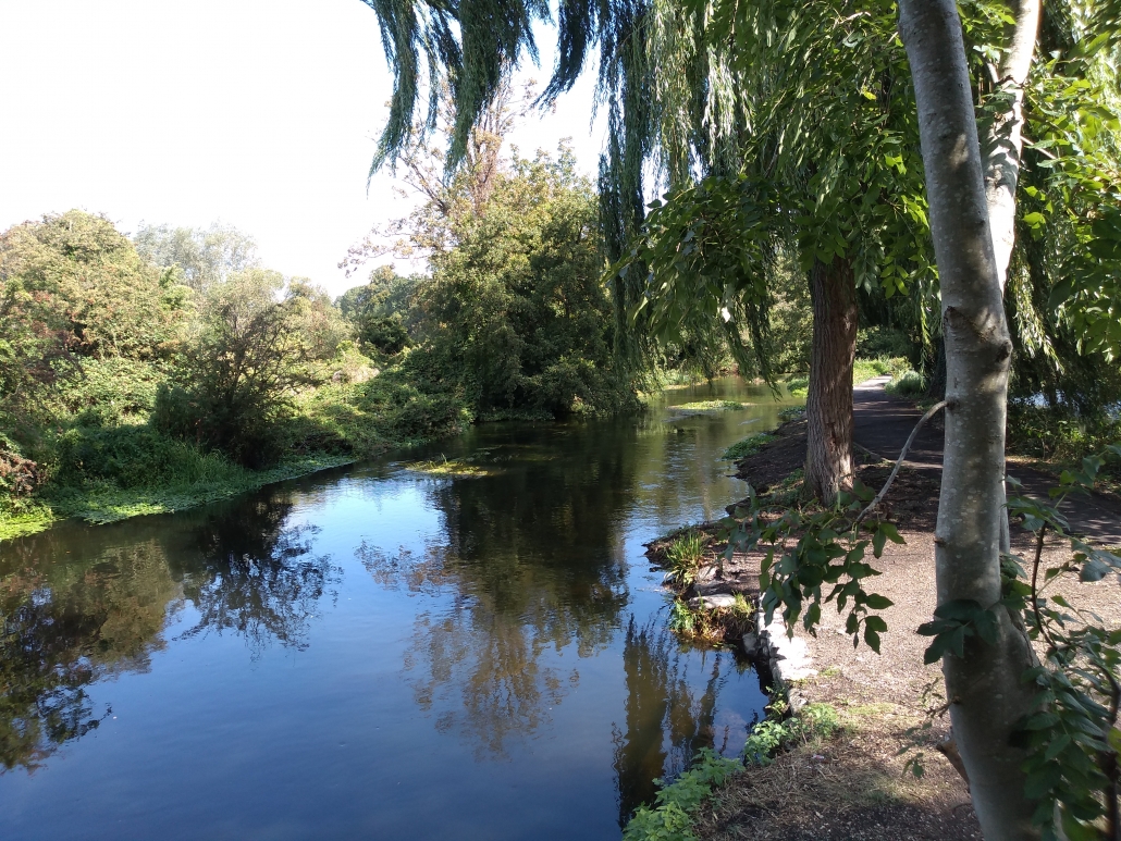 Little Britain Lake - Colne Valley Regional Park