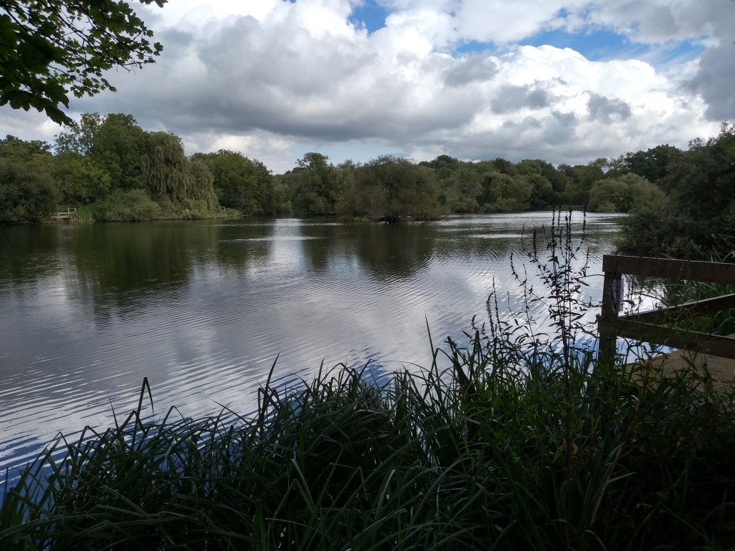 Little Britain Lake - Colne Valley Regional Park