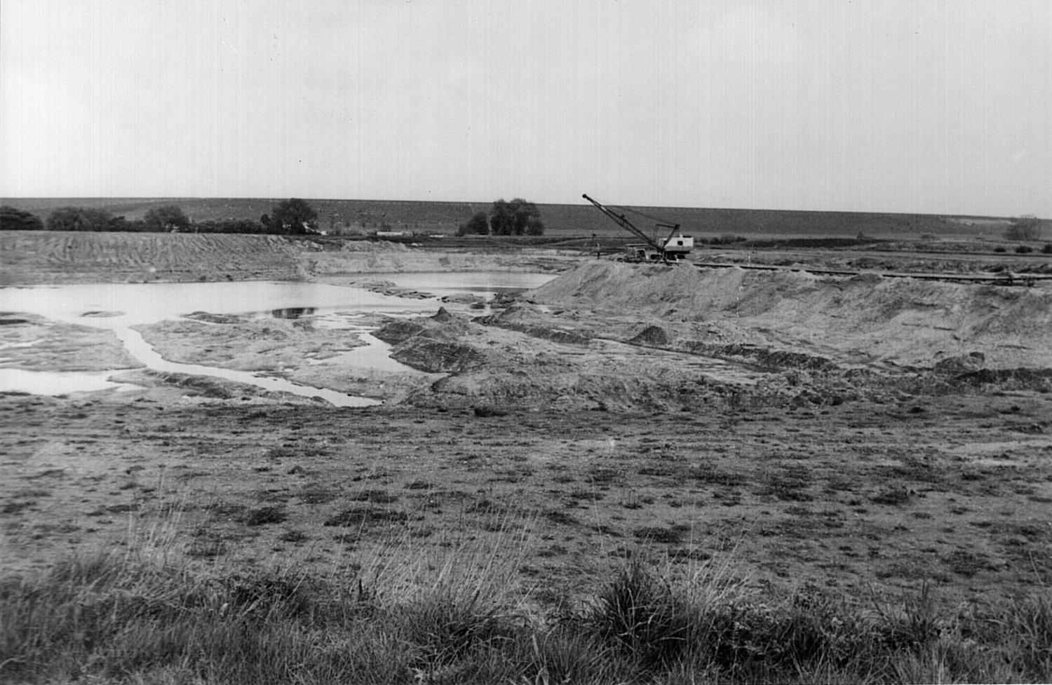 Near Queen Mother Reservoir Datchet Archives - Colne Valley Regional Park