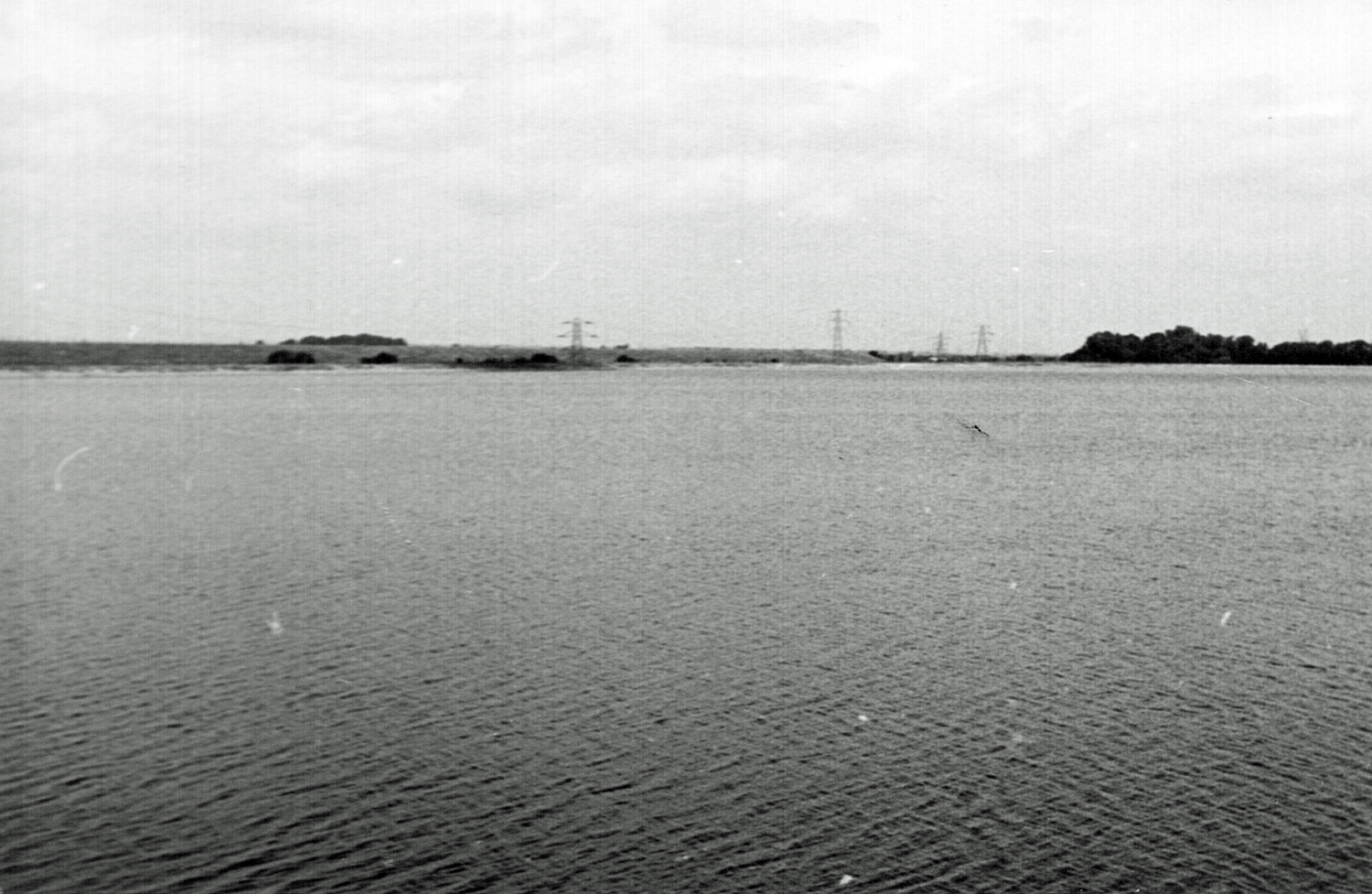 Staines Reservoir Archives - Colne Valley Regional Park