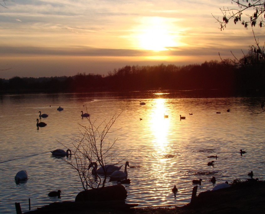 Walks in the Colne Valley Regional Park - Colne Valley Regional Park