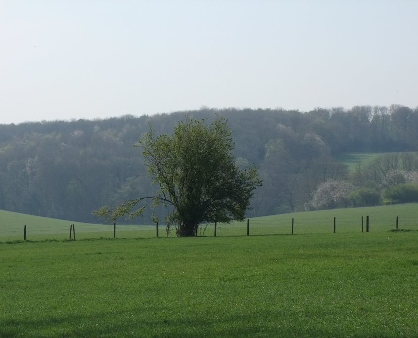Walks in the Colne Valley Regional Park - Colne Valley Regional Park