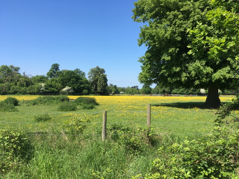 Langley Park - Colne Valley Regional Park