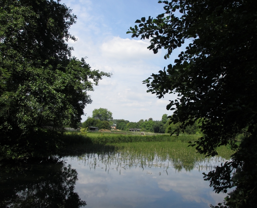 Walks in the Colne Valley Regional Park - Colne Valley Regional Park