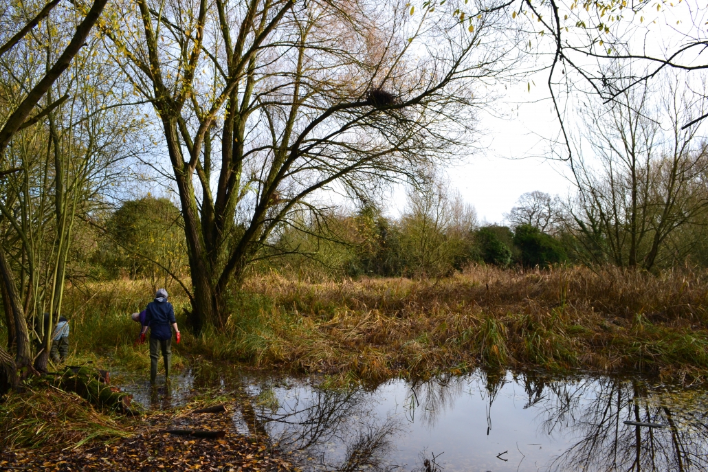 Thorney Country Park - Colne Valley Regional Park