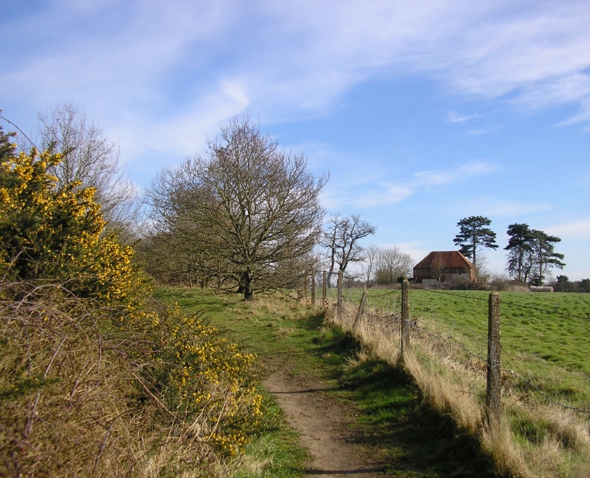 Walks in the Colne Valley Regional Park - Colne Valley Regional Park