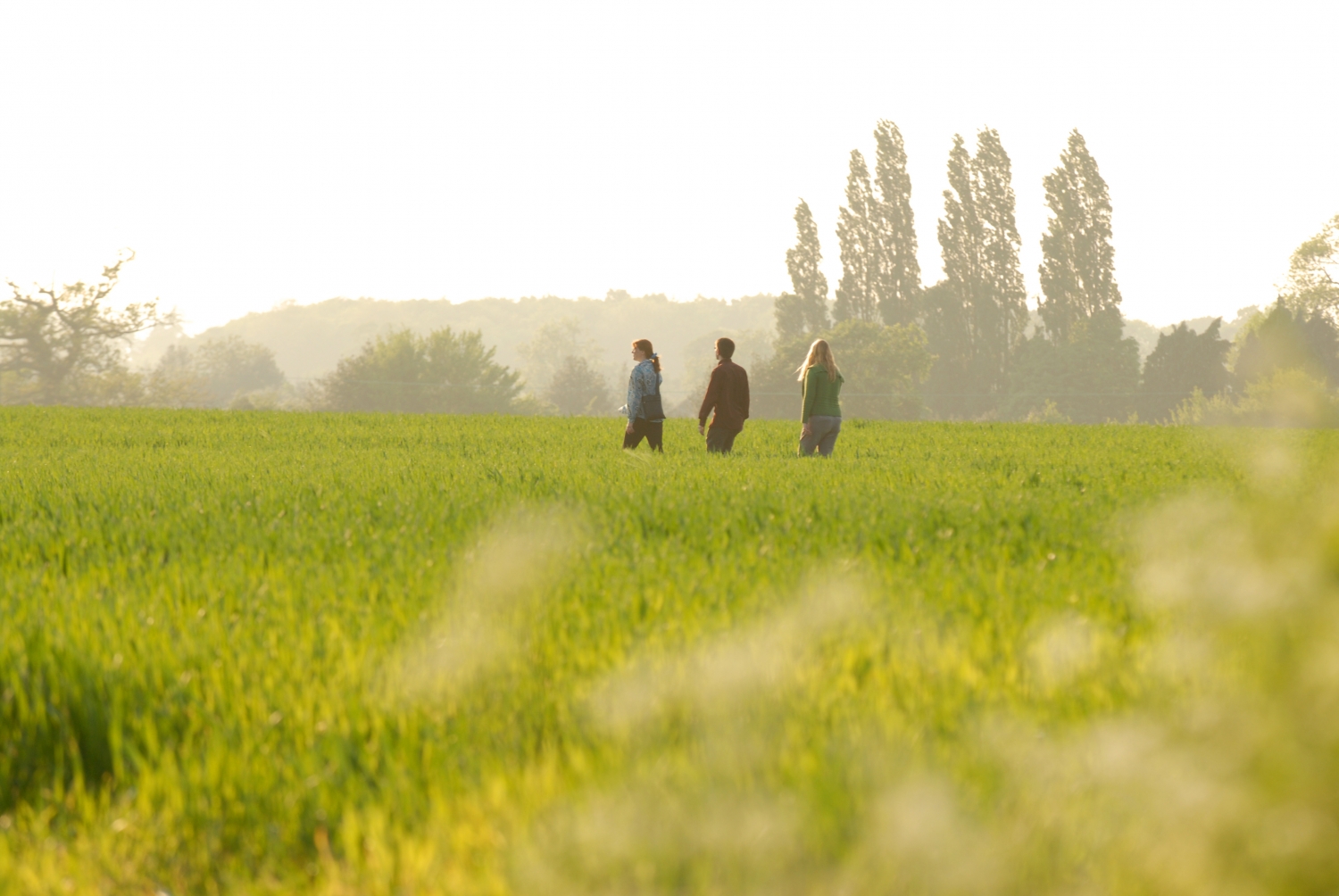 Visit Colne Valley - Colne Valley Regional Park