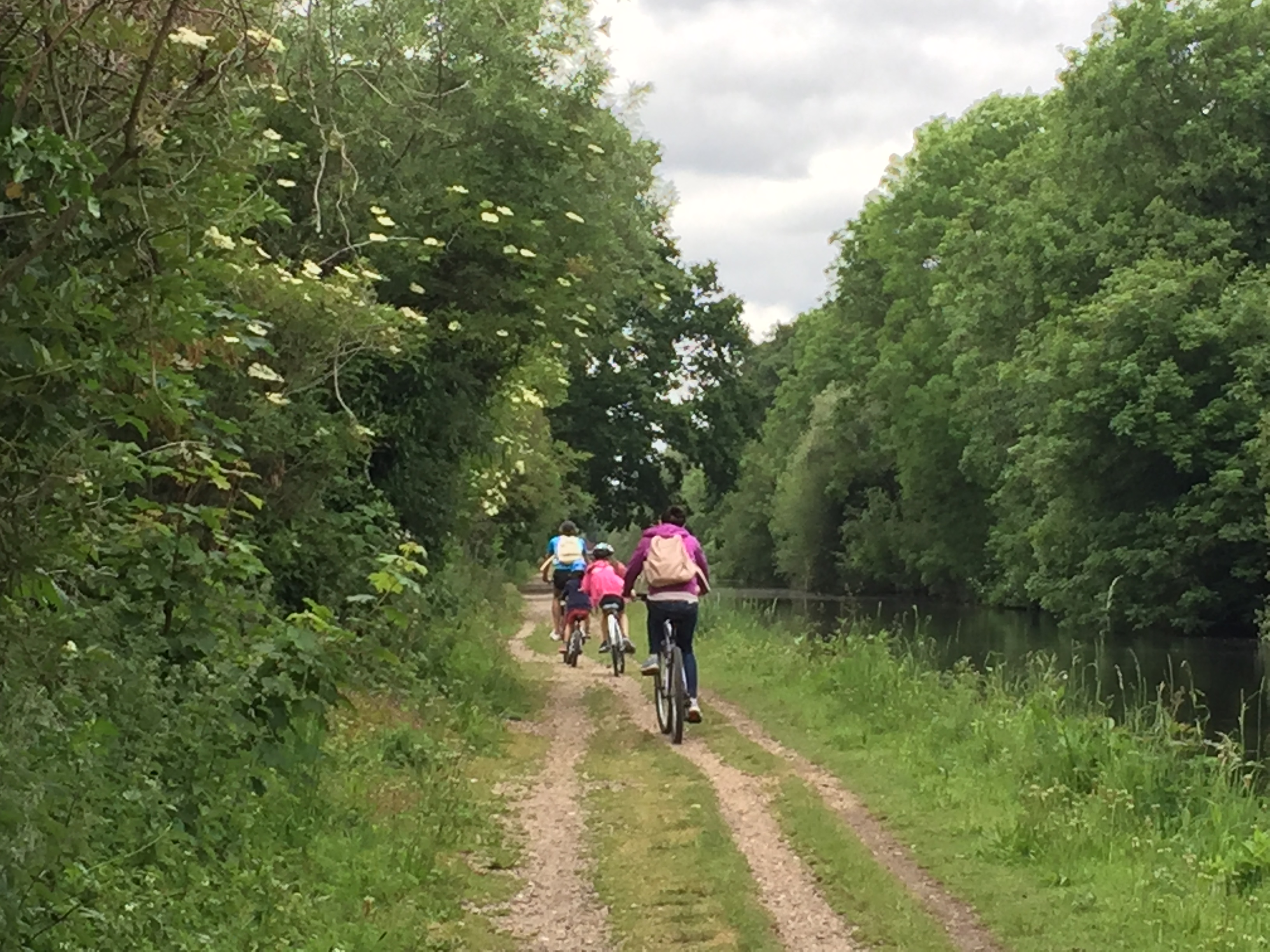 Explore your Colne Valley Park – Summer edition is ready! - Colne ...