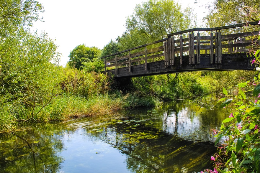 Colne CAN and River Projects - Colne Valley Regional Park