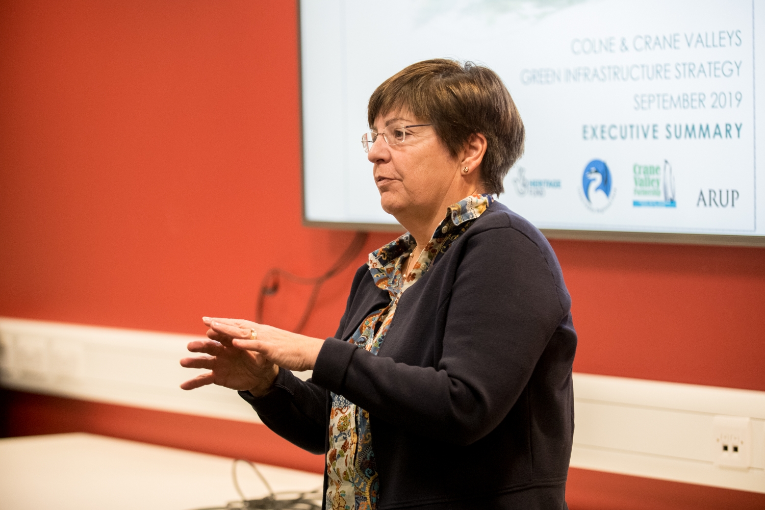 Green Infrastructure Strategy for the Colne and Crane Valleys - Colne ...