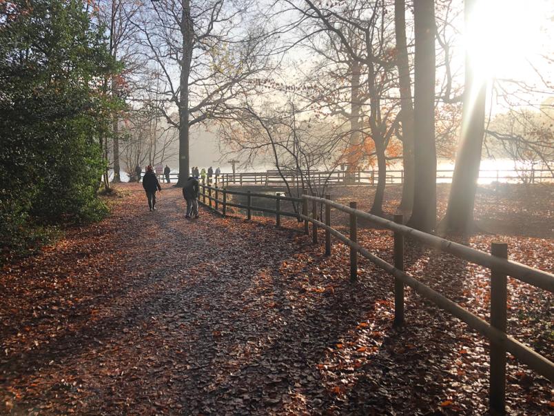 Favourite Autumn and Winter walks in the Colne Valley Regional Park ...
