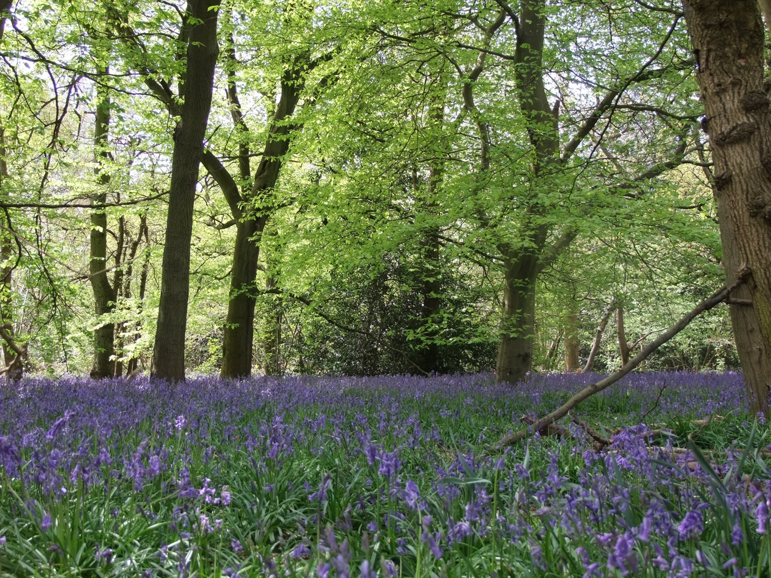 Find the perfect place to stay in The Colne Valley Regional Park ...