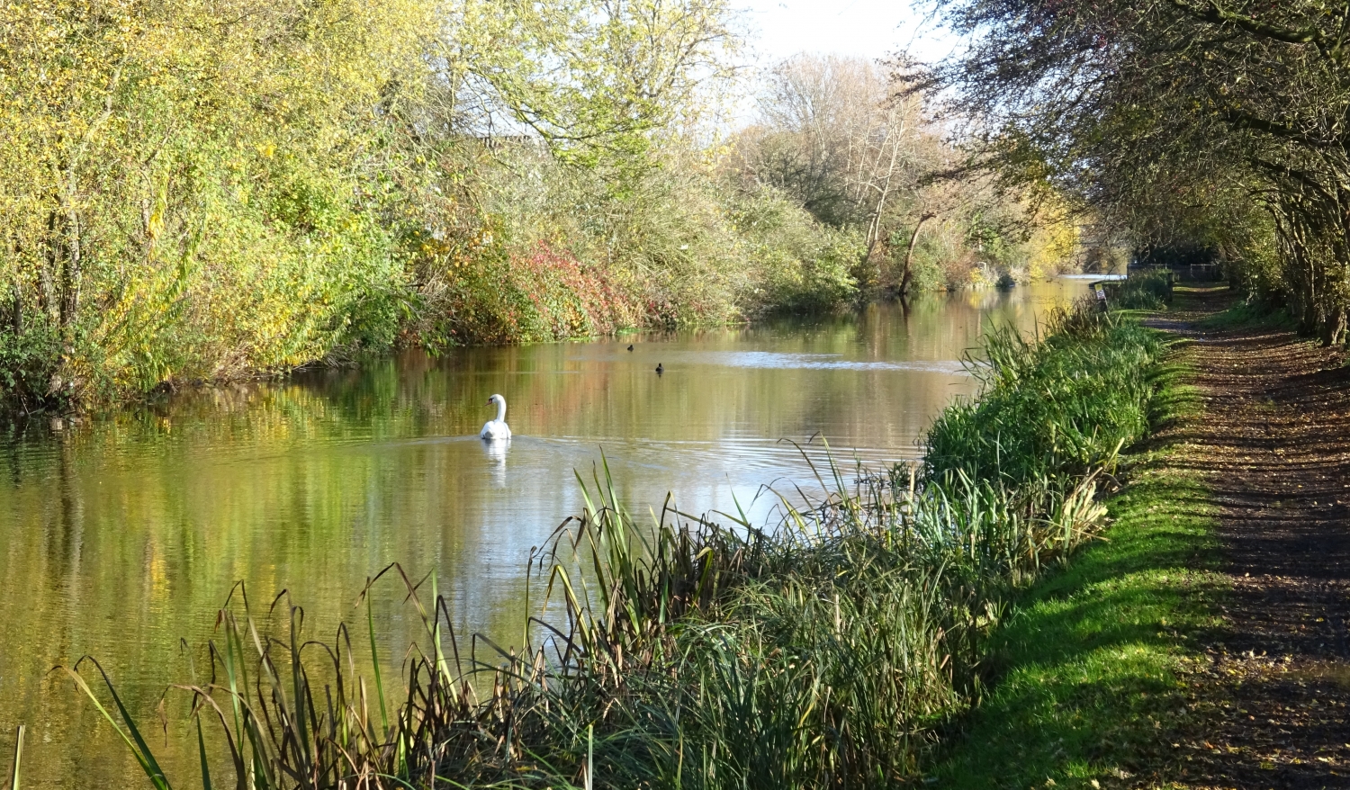Walking the Ivers - Colne Valley Regional Park