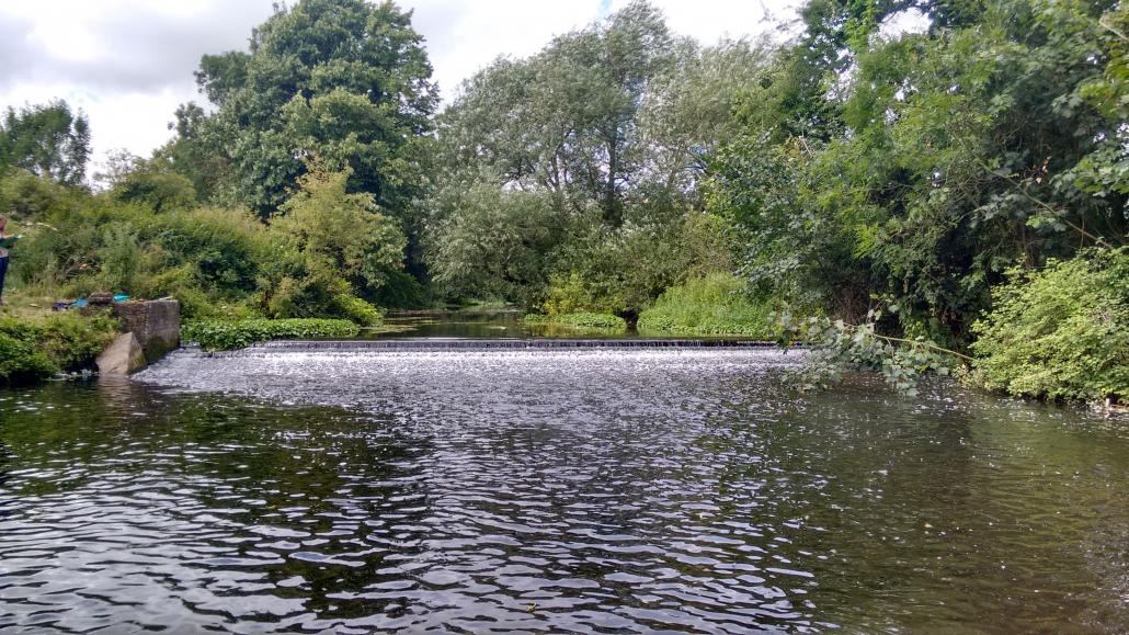 The Colne Valley Regional Park Annual Forum 2020 - Colne Valley ...