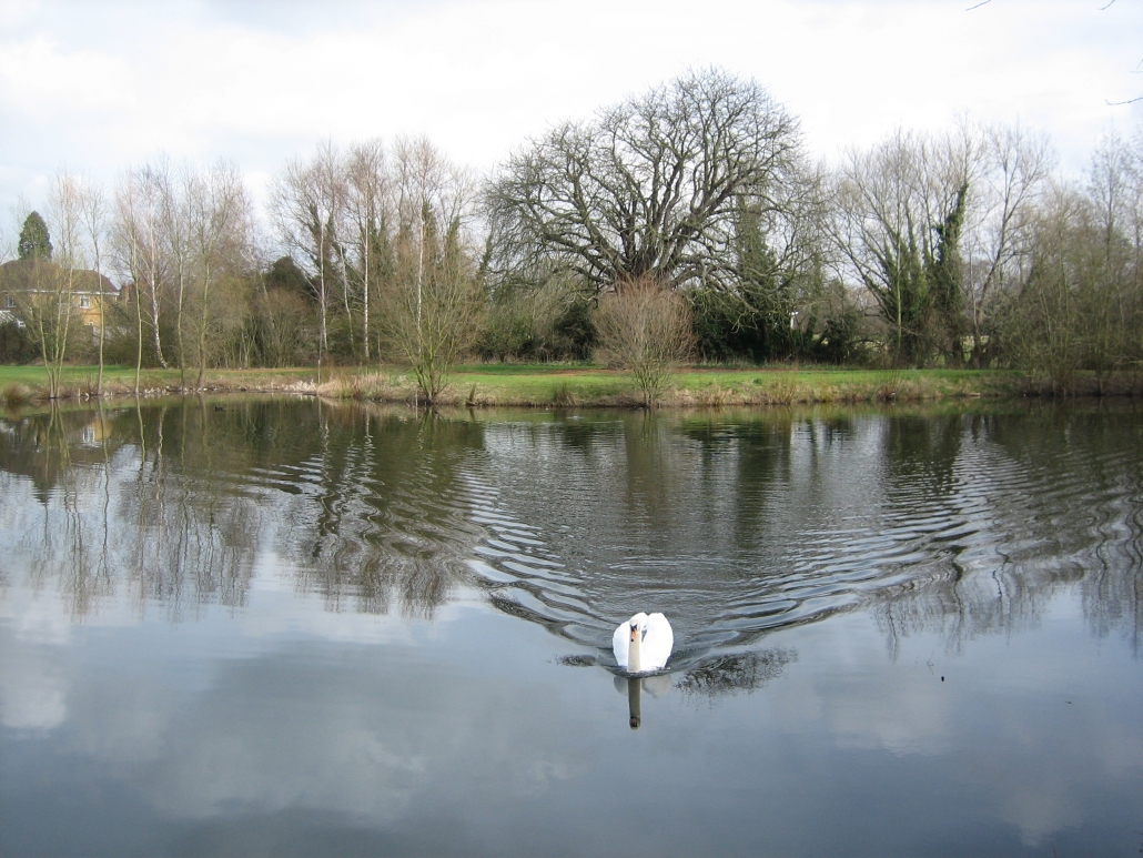 Favourite Autumn and Winter walks in the Colne Valley Regional Park ...