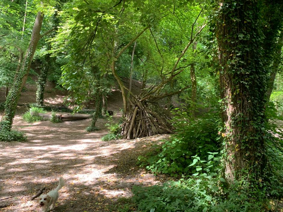 Northmoor Hill Wood Nature Reserve - Colne Valley Regional Park