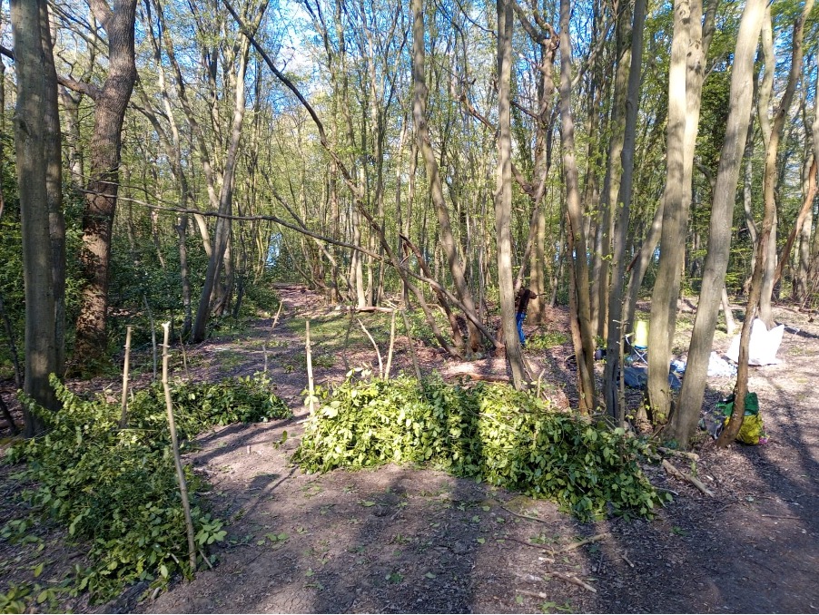 Green Teams - Colne Valley