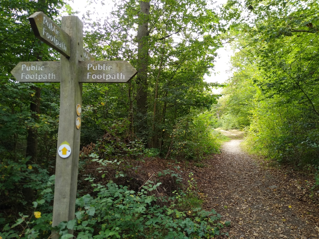 Ruislip Woods Walks go Digital - Colne Valley Regional Park