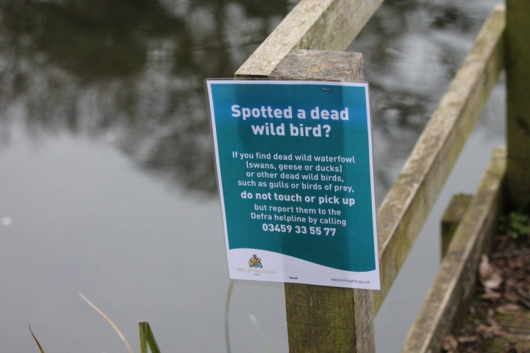Little Britain Lake - Colne Valley Regional Park