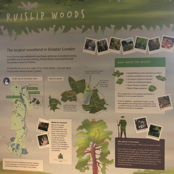 Ancient woodlands interpretation - Colne Valley Regional Park