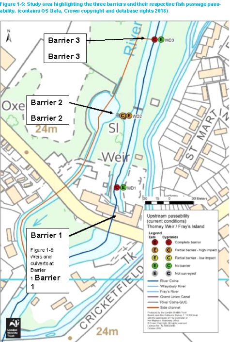 West Drayton Fish Passage Improvement Project - Colne Valley Regional Park