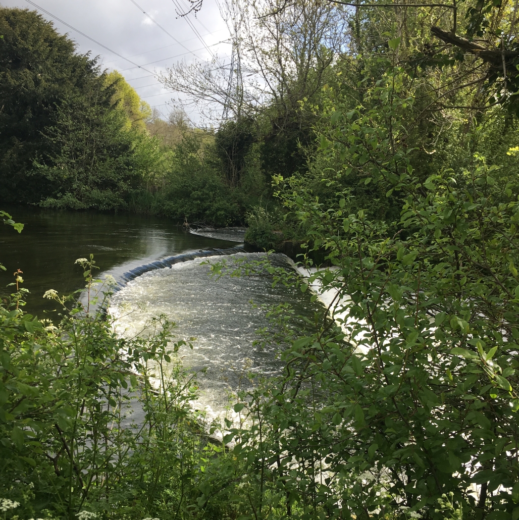 Denham Eel Pass Project - Colne Valley Regional Park