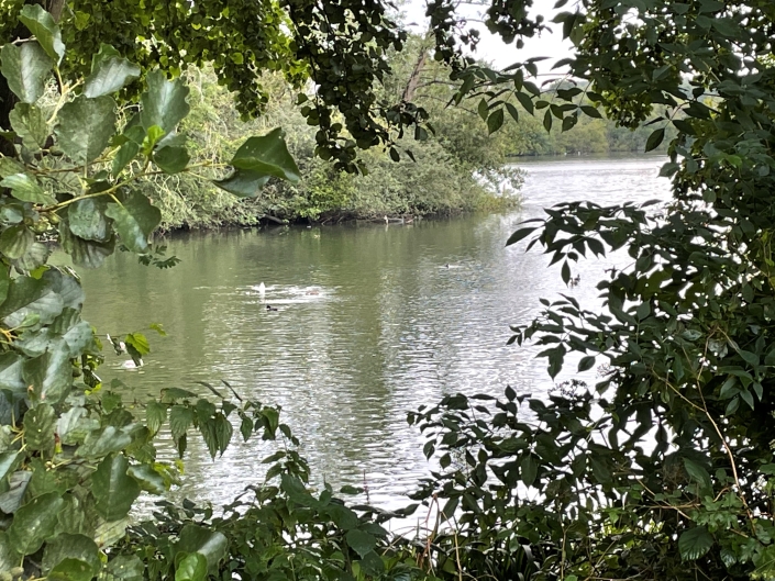 Rickmansworth Aquadrome - Colne Valley Regional Park