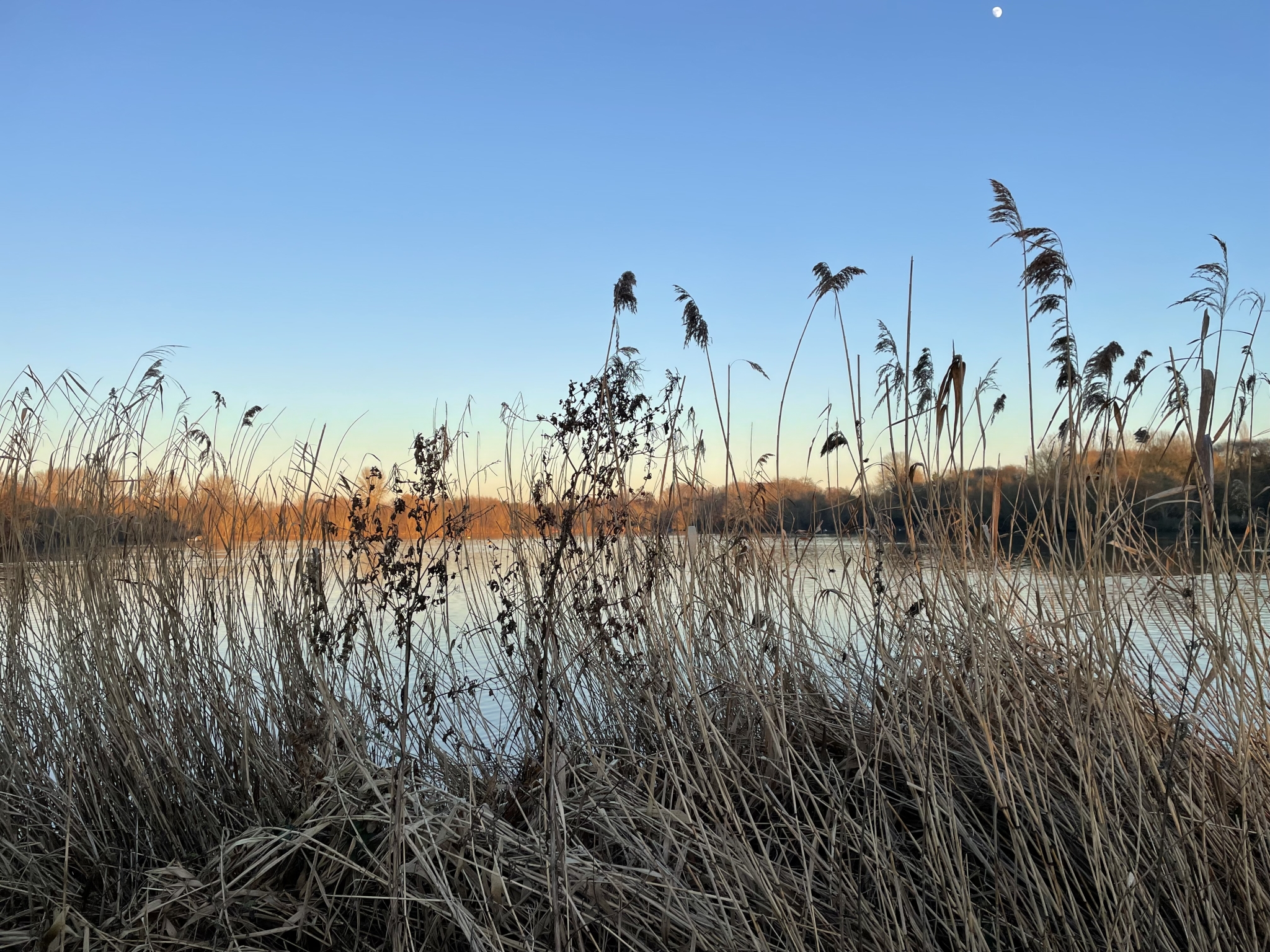 Rickmansworth Aquadrome - Colne Valley Regional Park
