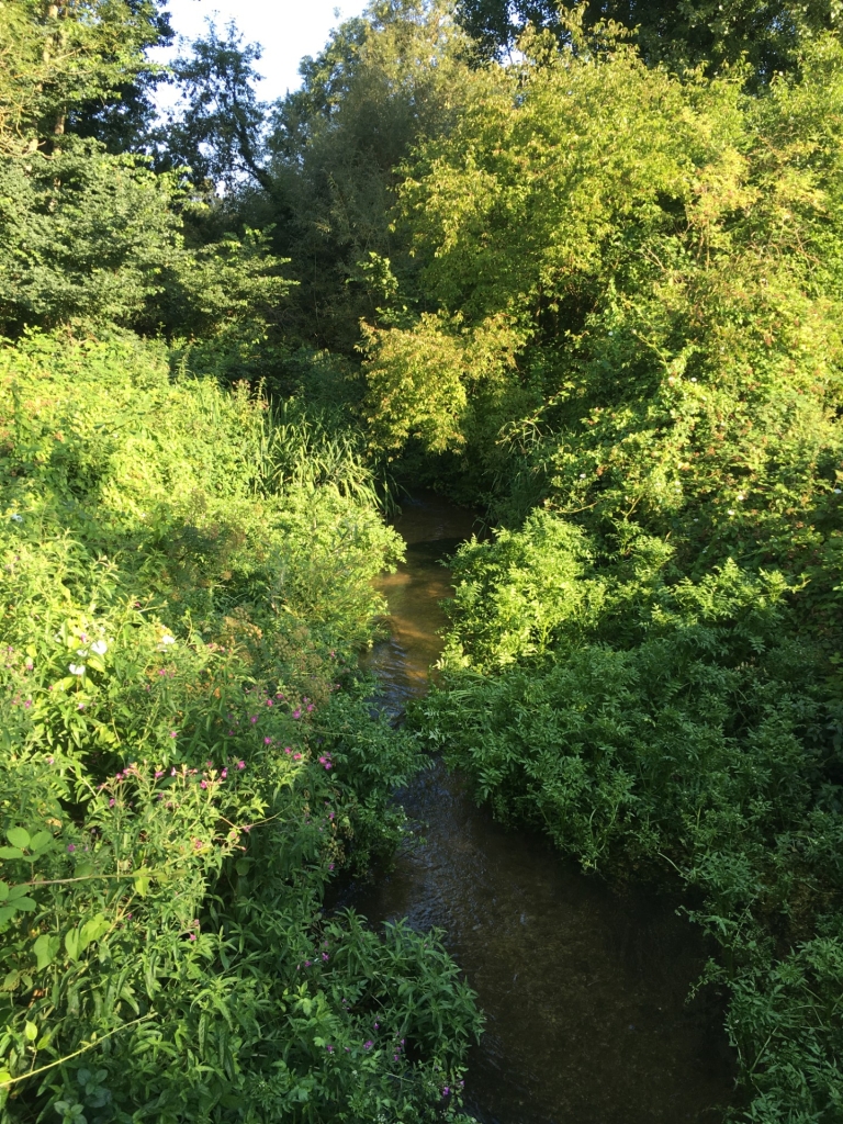 Enjoying Our Rivers Safely - Colne Valley