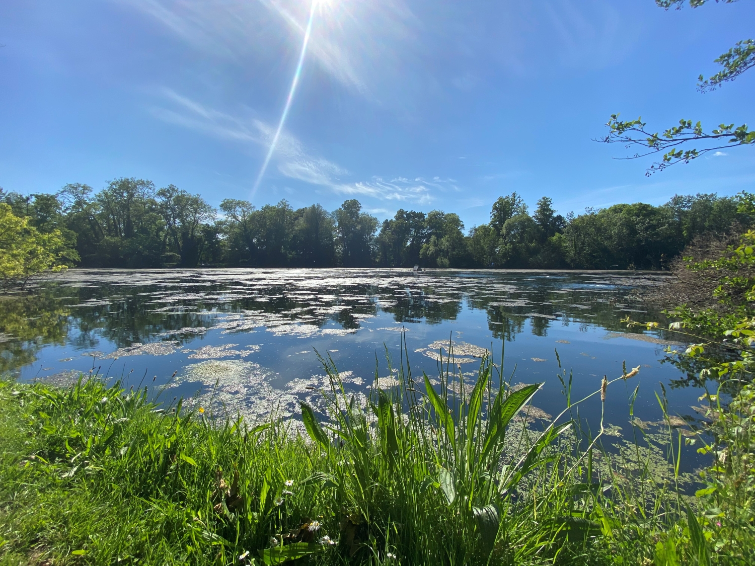 Walks in the Colne Valley Regional Park - Colne Valley Regional Park